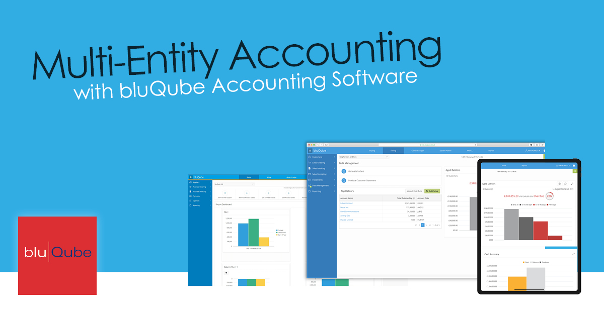 Multi-Entity Accounting With bluQube