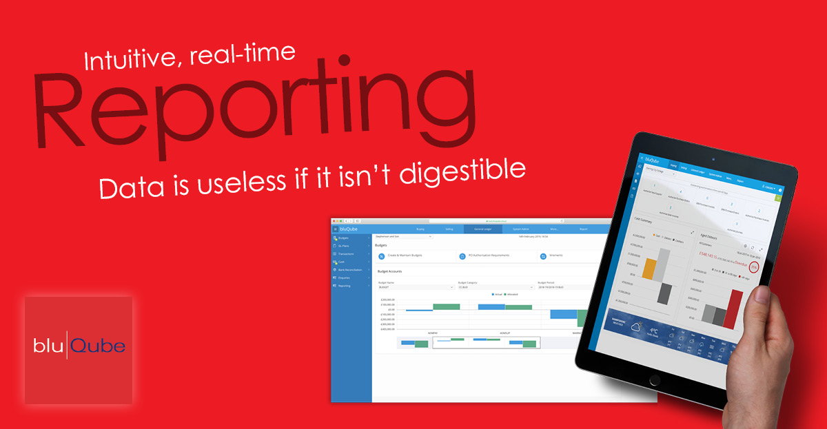 Reporting with bluQube